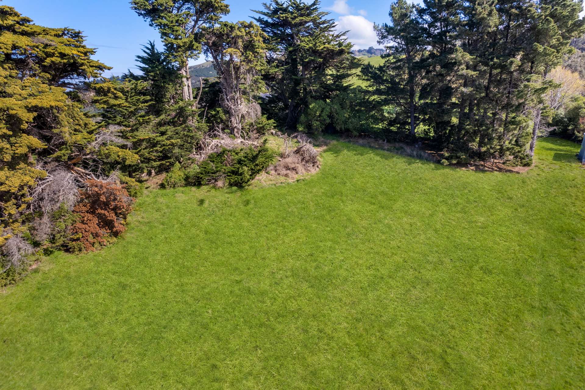 Discover a Natural Paradise in Manuka Bay! | Arizto