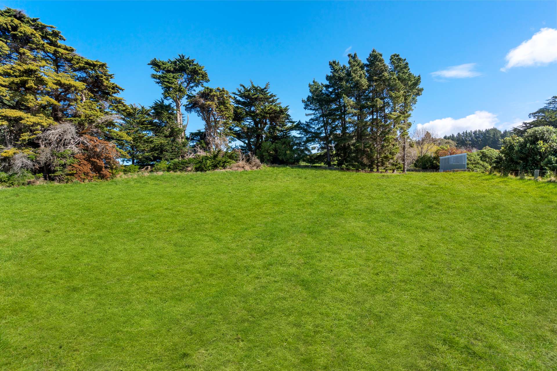 Discover a Natural Paradise in Manuka Bay! | Arizto